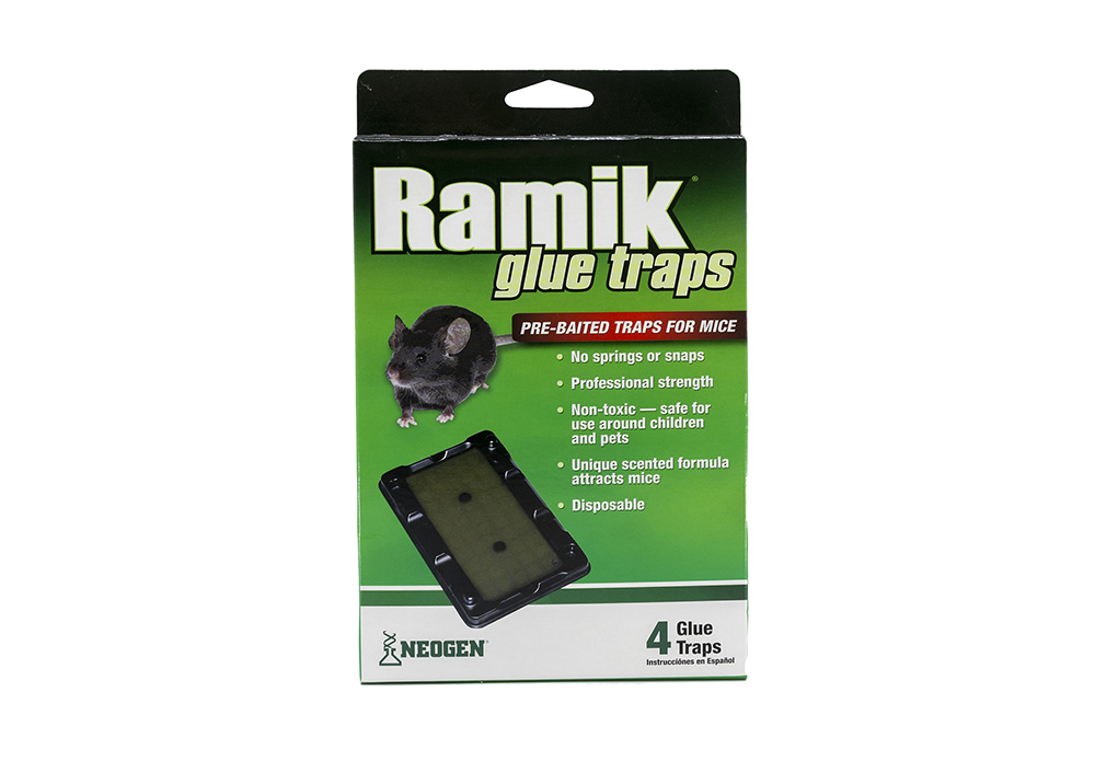 Ramik® Glue Traps — Bushland Ranch Store