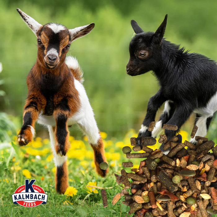 Goat Granola® — Bushland Ranch Store