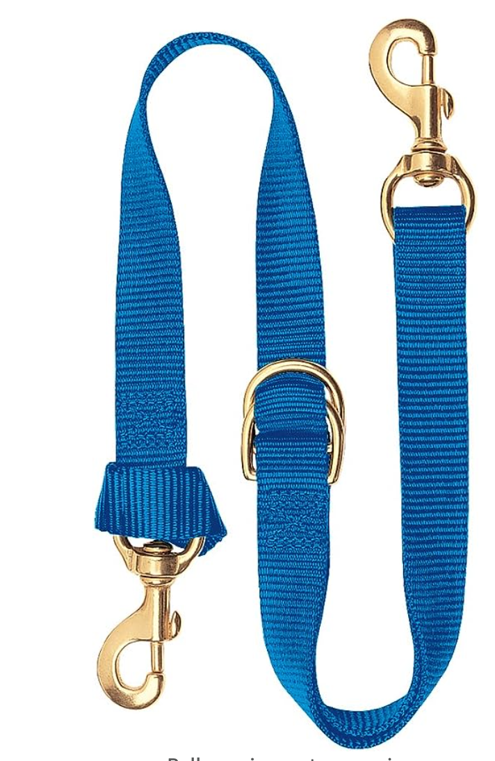 ADJUSTABLE TIE DOWN, 1" , BLUE — Bushland Ranch Store
