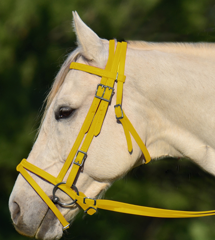 RACE SET, H/S, REINS, CAVESON, YELLOW — Bushland Ranch Store
