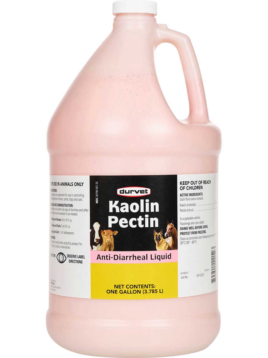 KAOLIN PECTIN ANTI-DIARRHEAL LIQUID 1GAL — Bushland Ranch Store