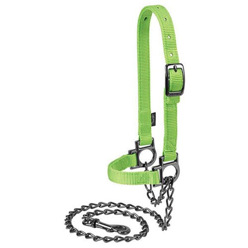 Nylon Adjustable Sheep Halter with Chain Lead — Bushland Ranch Store