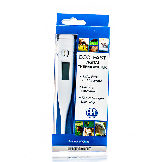 ECO FAST DIGITAL THERMOMETER — Bushland Ranch Store