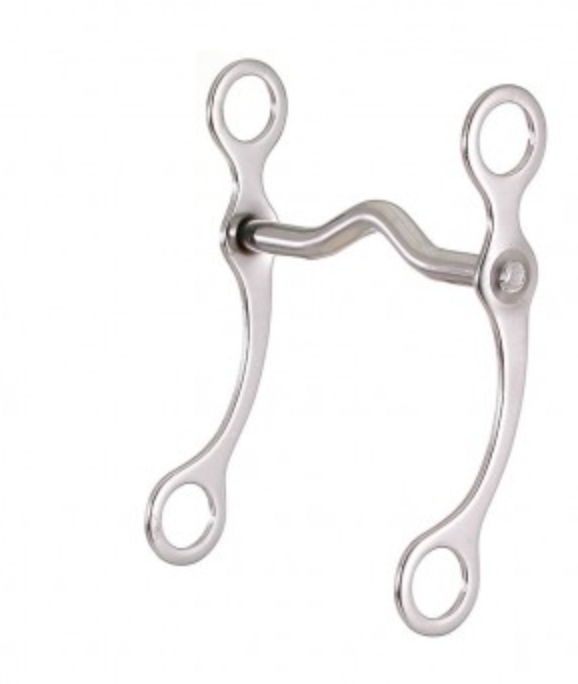 Kelly Silver Star Curb Bit — Bushland Ranch Store