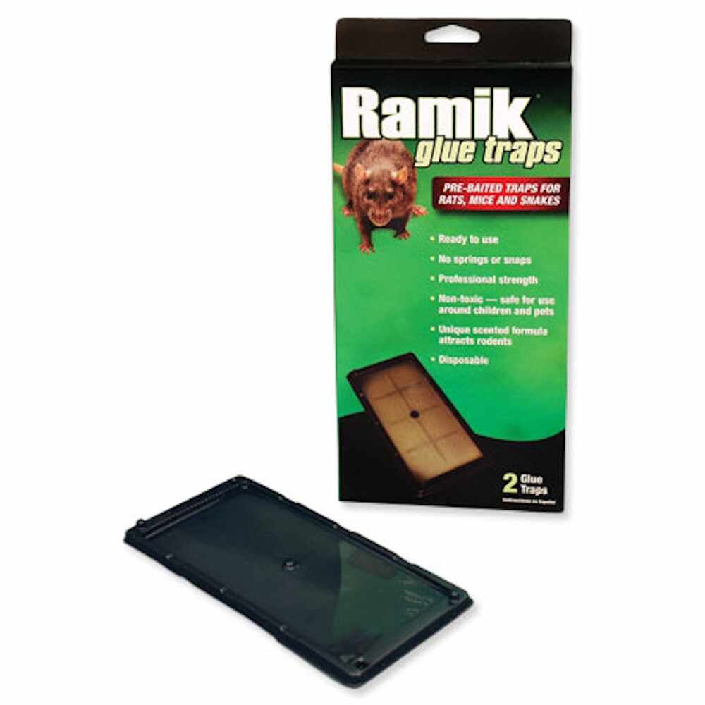 RAMIK RAT GLUE TRAY 2-PACK — Bushland Ranch Store