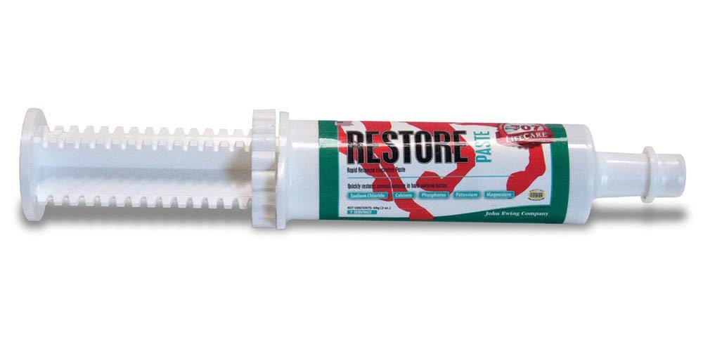 RESTORE PASTE — Bushland Ranch Store